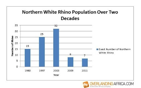 Northern White Rhino - Can science save the rhino from extinction ...
