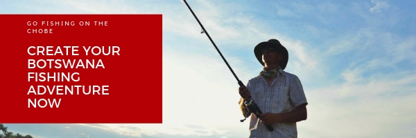 Tigerfishing on the Chobe River | Discover Africa Safaris