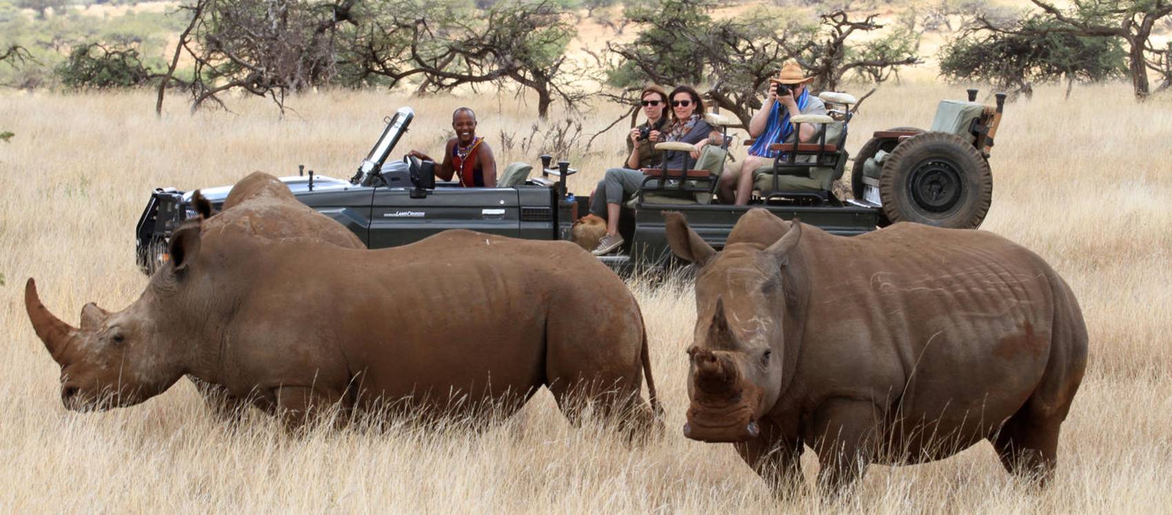 Rhino safari in Kenya | Packages & Itineraries | Discover Africa Safaris