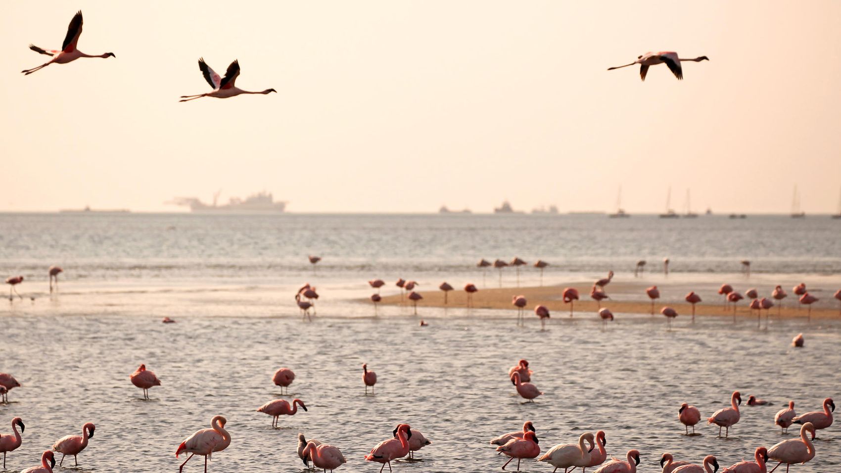 Walvis Bay safaris, tours and holiday packages | Discover Africa Safaris