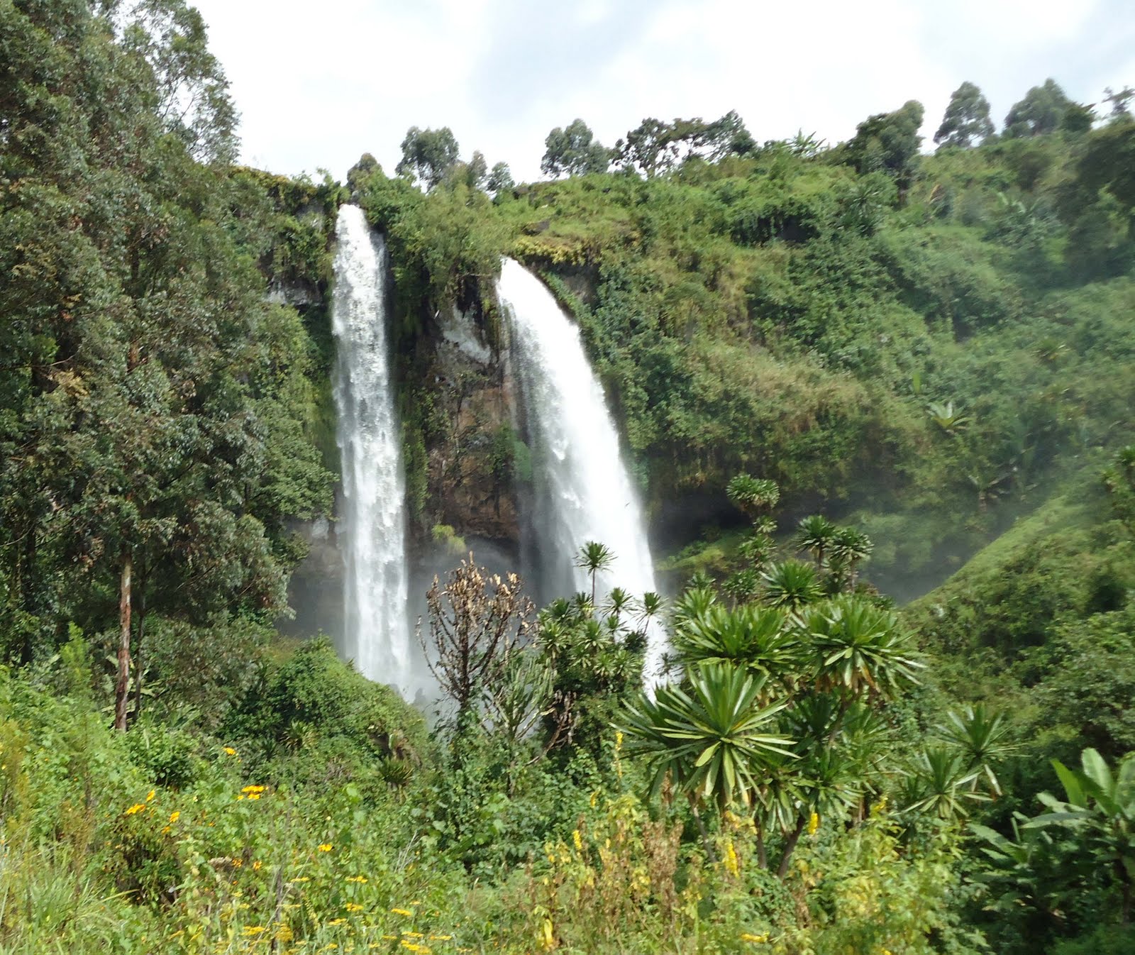 Mount Elgon National Park safaris, tours and holiday packages ...