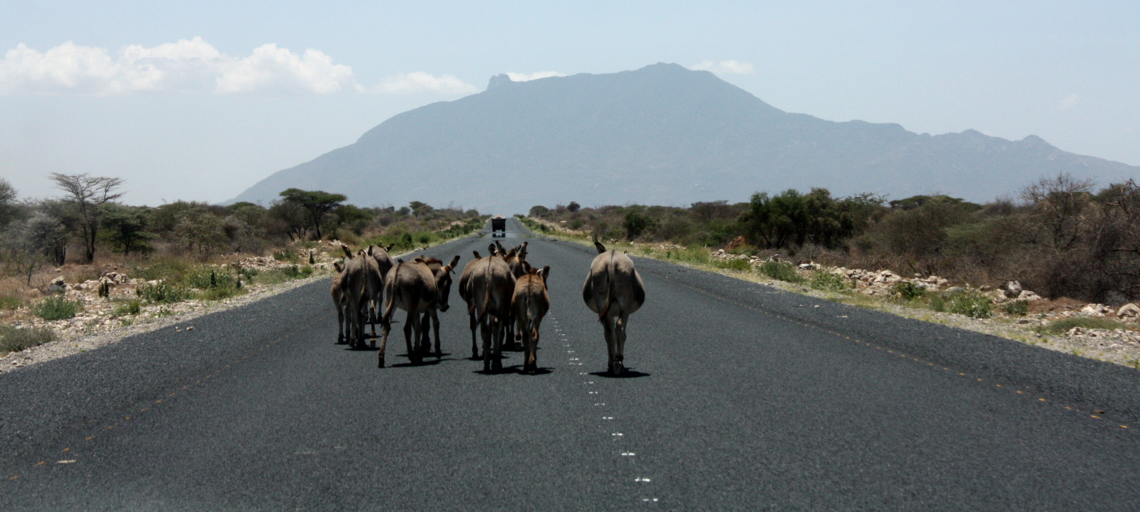 Namanga safaris, tours and holiday packages | Discover Africa Safaris