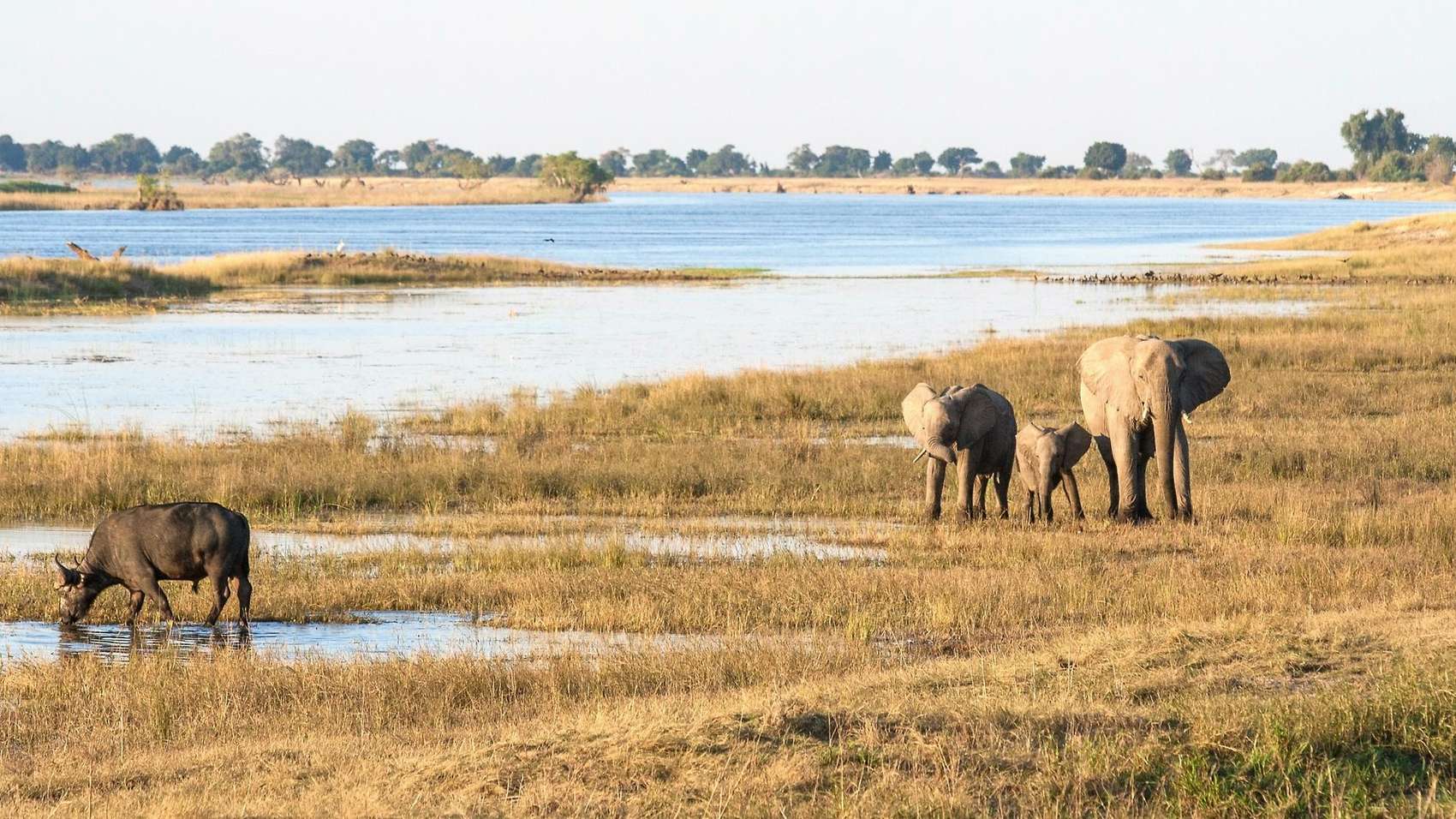 Kwando River safaris, tours and holiday packages | Discover Africa Safaris