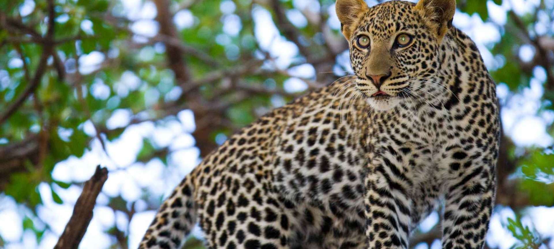 Kenya Central Highlands safaris, tours and holiday packages | Discover ...