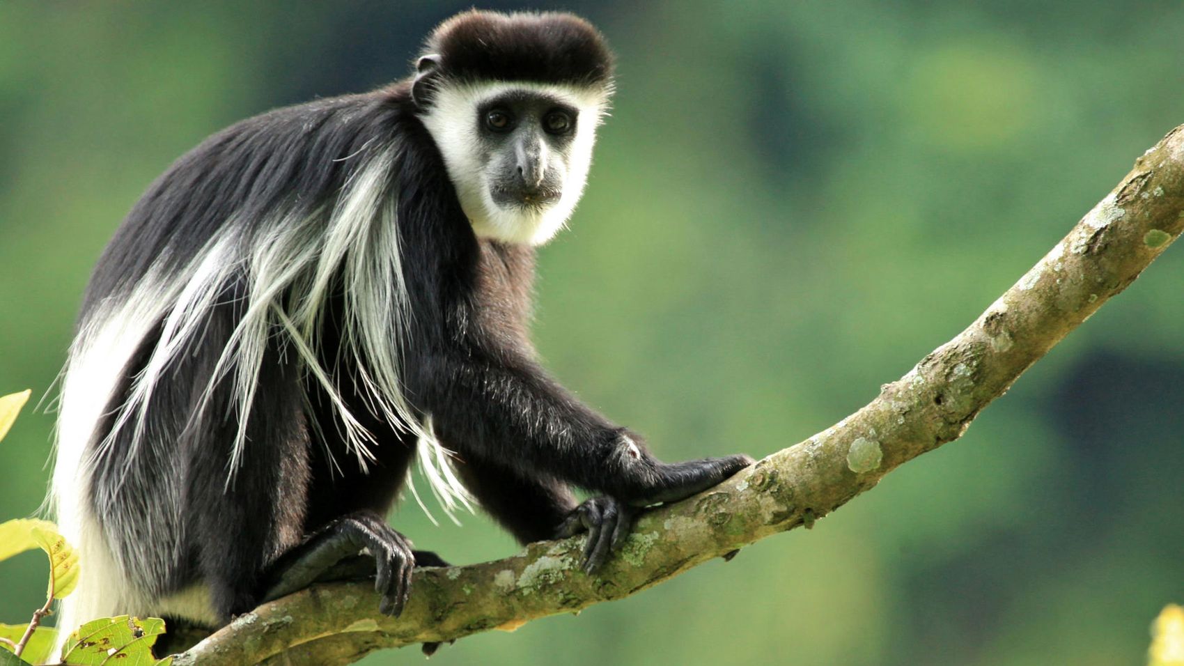 Kibale National Park safaris, tours and holiday packages | Discover ...