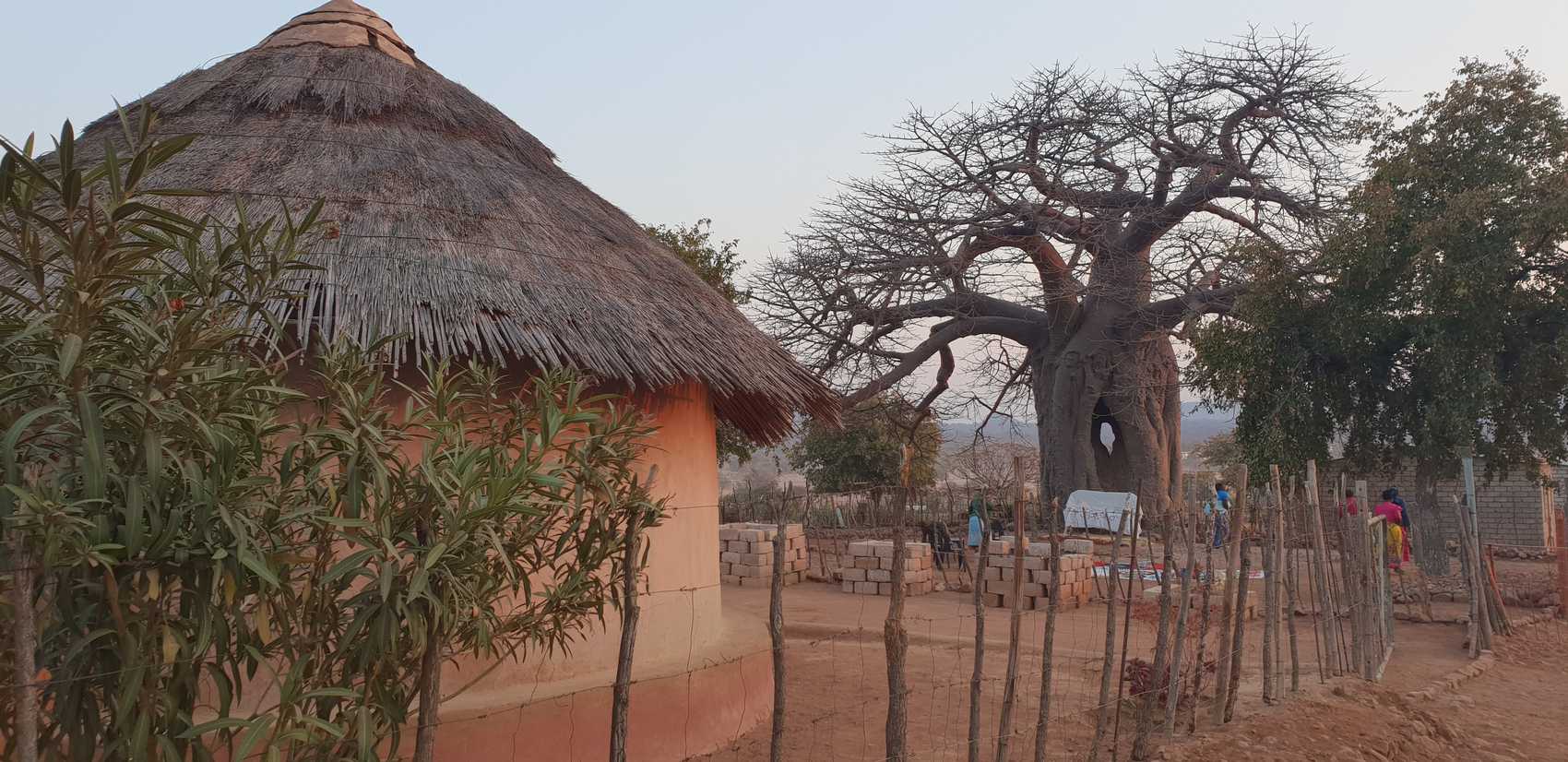 Limpopo safaris, tours and holiday packages | Discover Africa Safaris